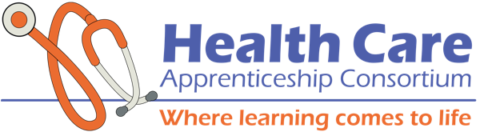 Introduction to Healthcare Employment & Apprenticeship Program | Health ...